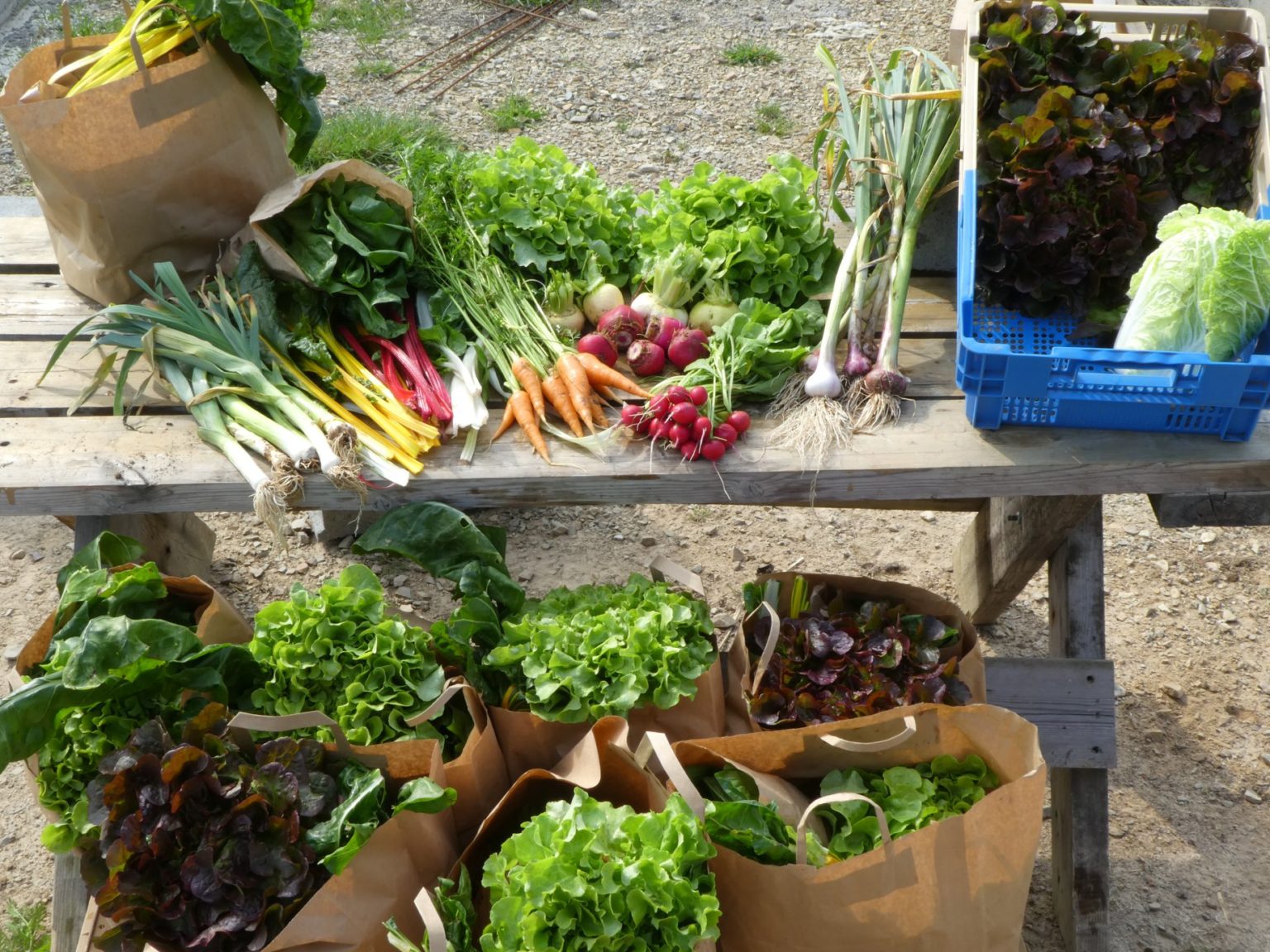 Les Paniers de Légumes BIO de Saison – Hébé : Maraichage, Arboriculture ...